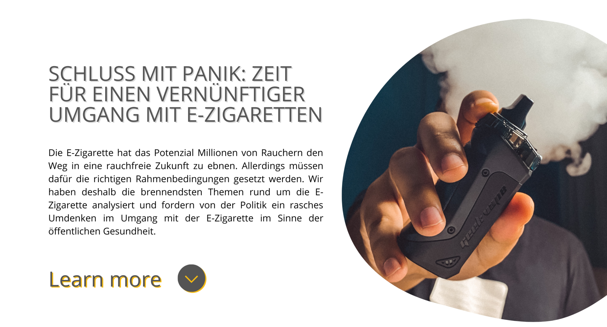 SCHLUSS MIT PANIK: ZEIT FÜR EINEN VERNÜNFTIGER UMGANG MIT E-ZIGARETTEN ...